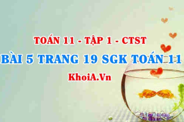 Bài 5 trang 19 SGK Toán 11 Tập 1 Chân trời sáng tạo